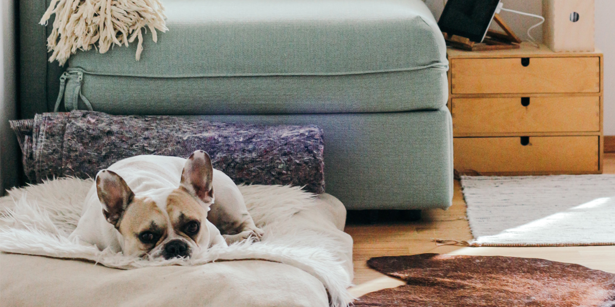 Je minder alleen voelen: 4 tips - Flow Magazine