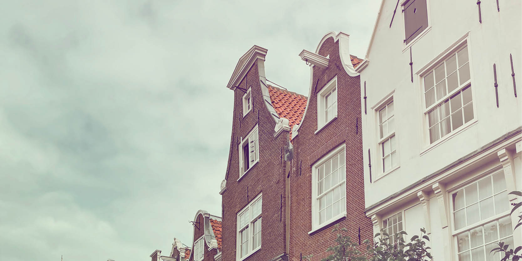 Babs Gons is de nieuwe Dichter des Vaderlands